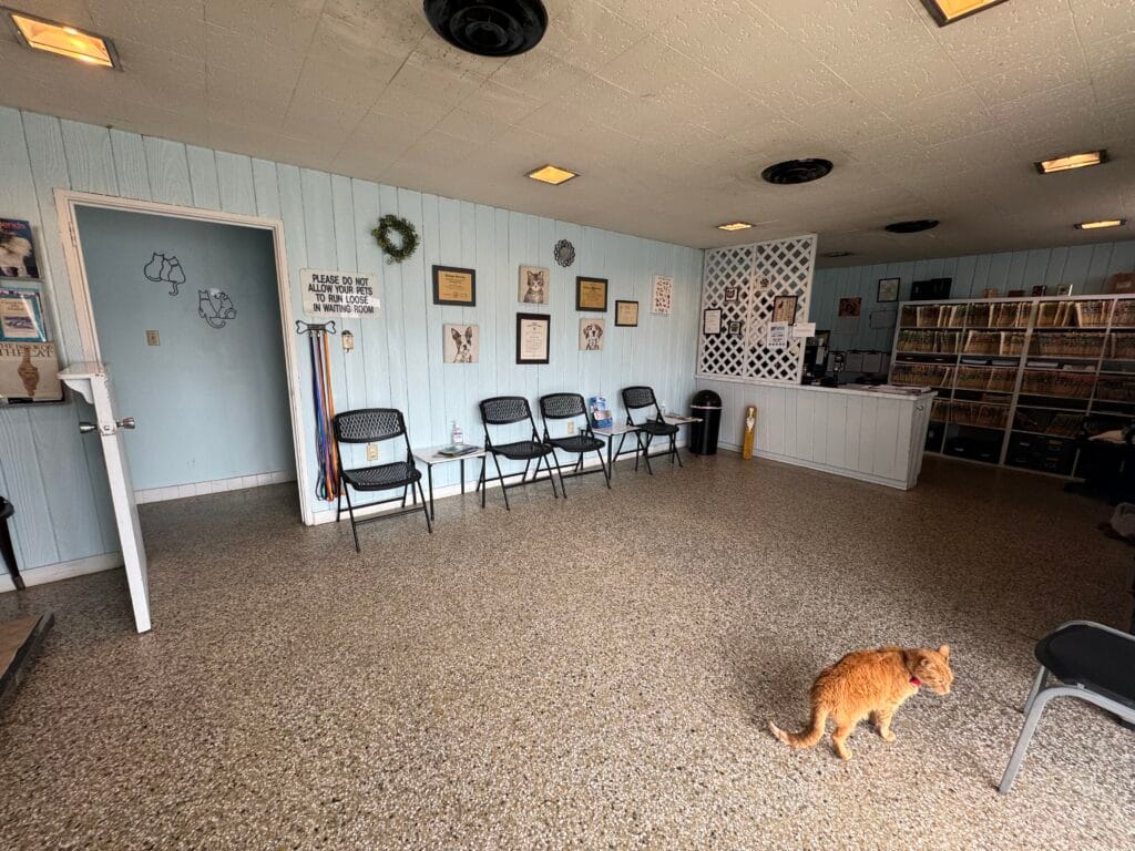 Home - Forest Park Animal Hospital